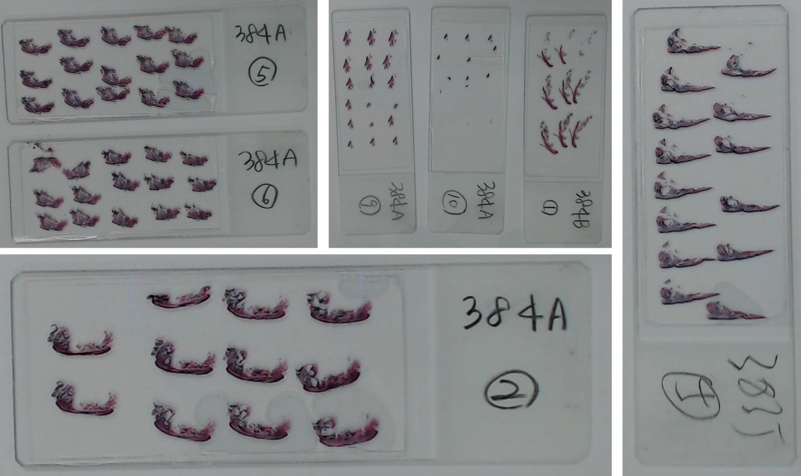 Python Indonesia Beyond Excel Measuring The Dimension Of An Object Using Opencv And Python