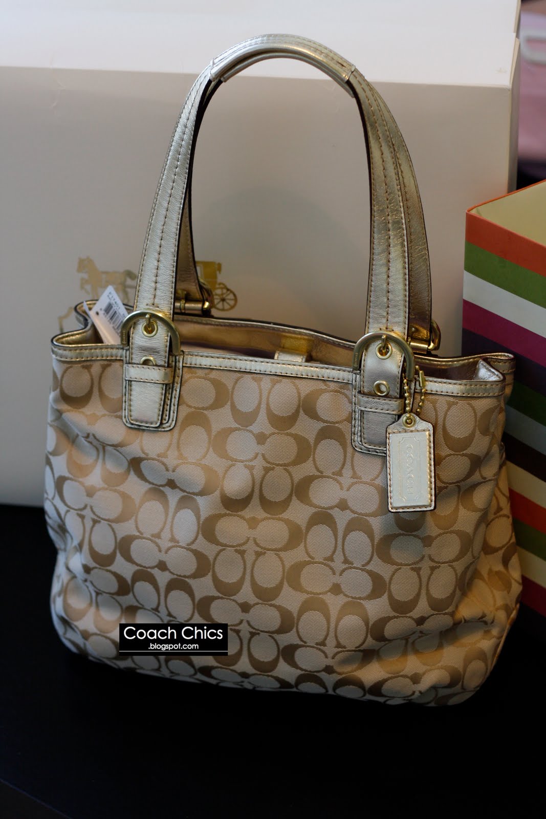 Coach Chics: COACH SOHO SIGNATURE TOTE