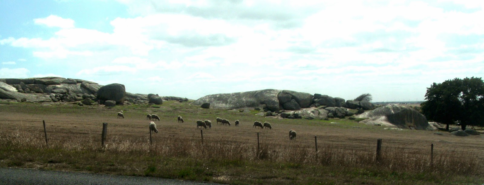 Geelong Visual Diary: Dog Rocks Batesford