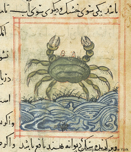 Researching Food History : Medieval crab recipes and 1723 recipes for ...