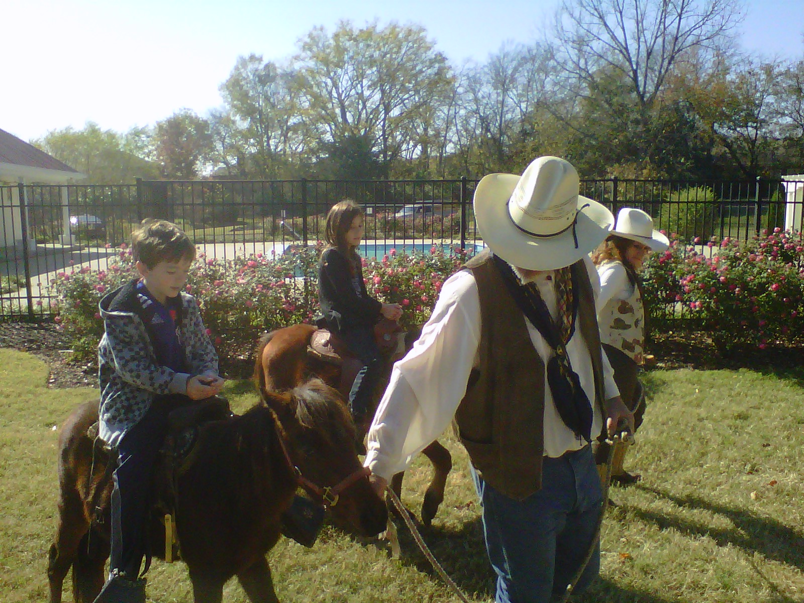Sugar Creek Carriages: Pony Rides and Pony Parties in Nashville Tn