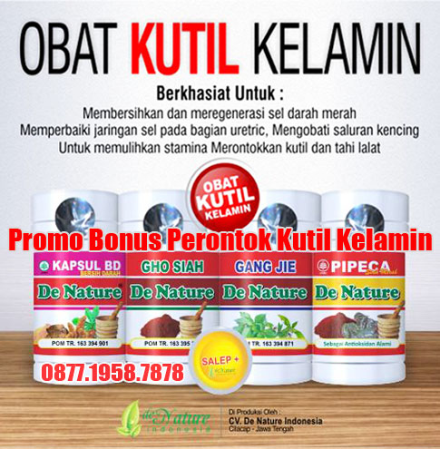 Bentuk kutil kelamin masih kecil