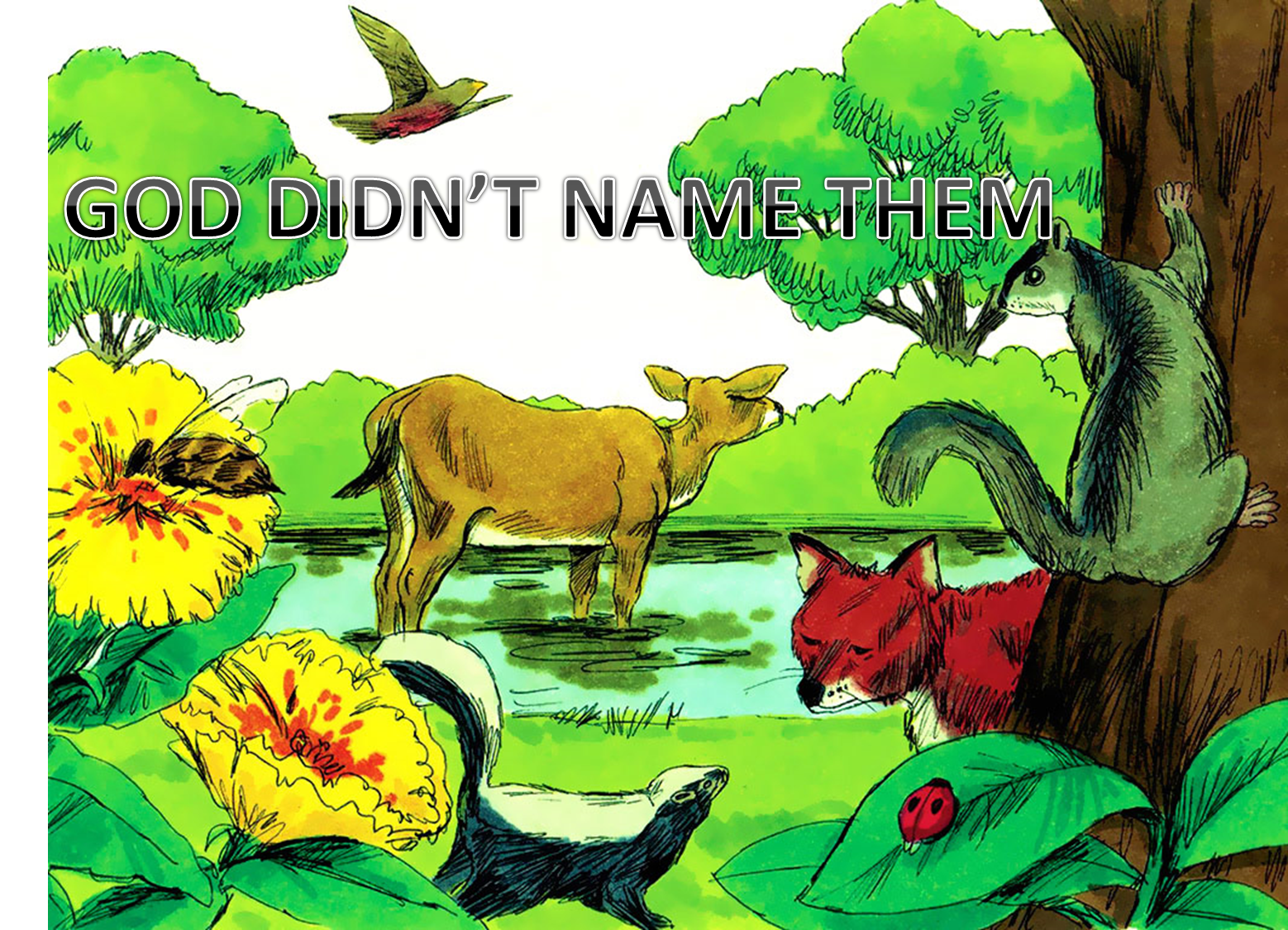 E-KIDS 1st Grade Lessons: August 14, 2016 - Adam Names the Animals ...