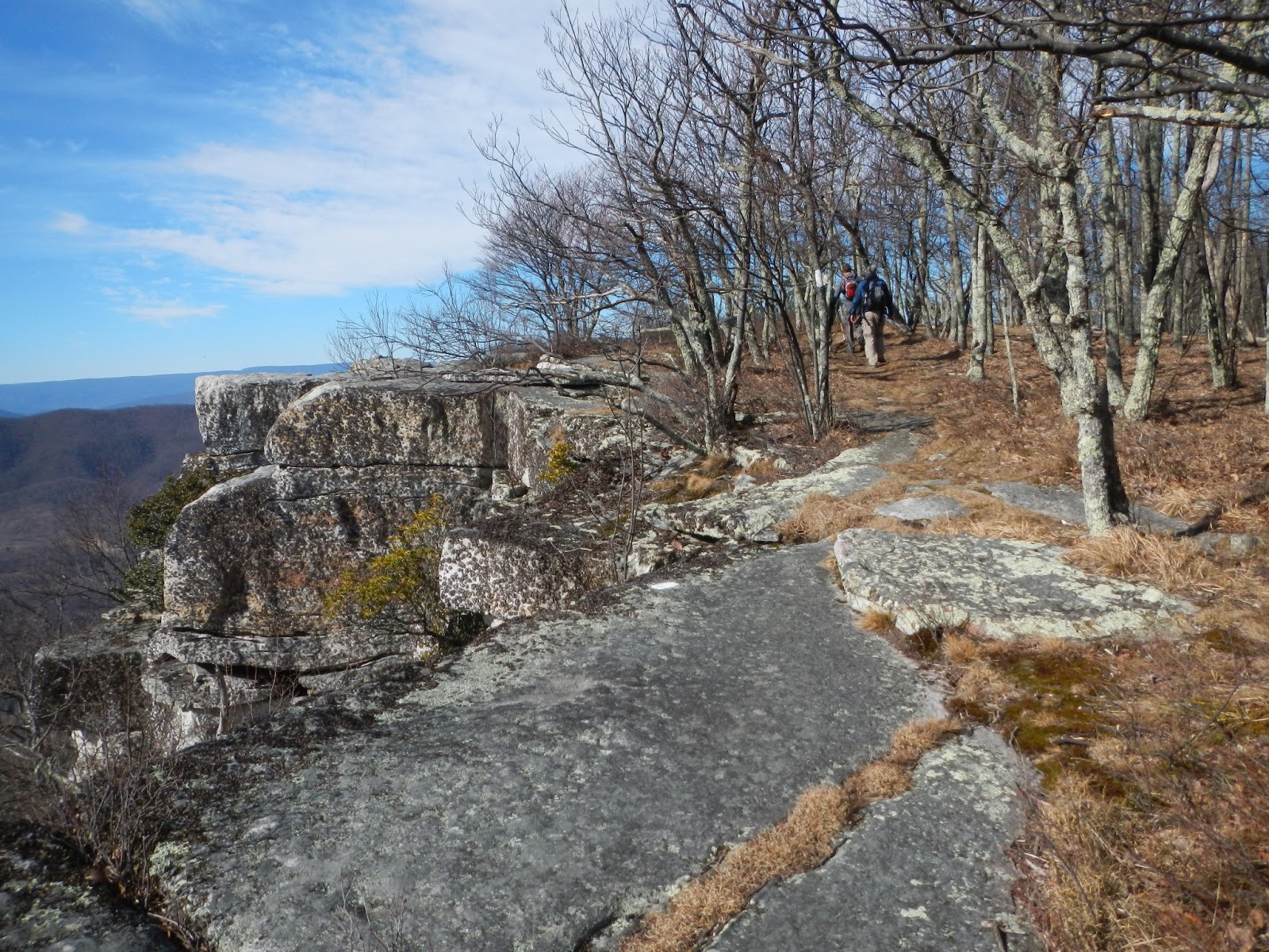 Wandering Virginia: A.T. Near Roanoke: McAfee Knob and Tinker Cliffs