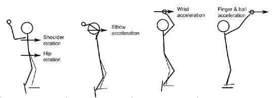 HLPE3531 Biomechanics: How can a netball player achieve optimal ...