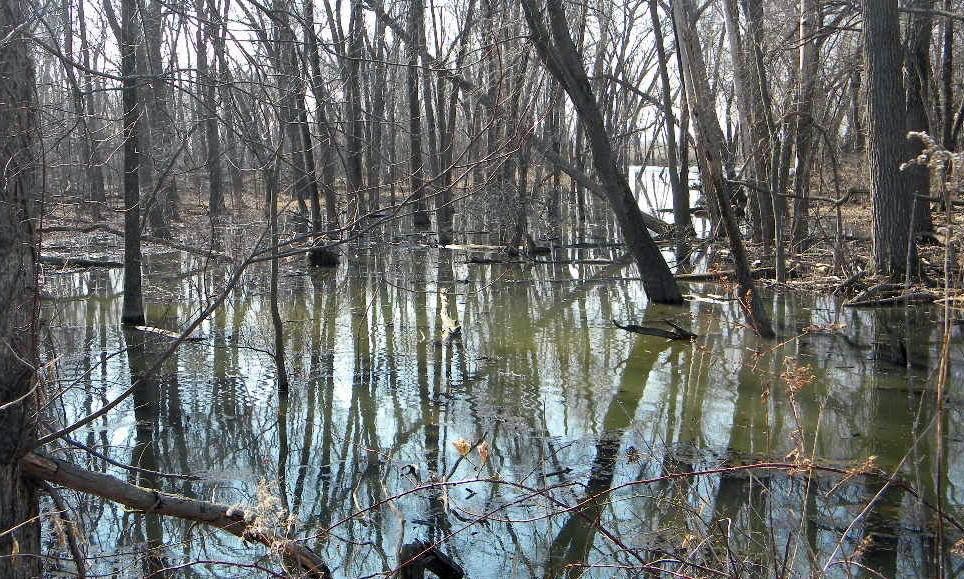 Northwest Indiana Historian James B Lane: Patrolling the Swamp
