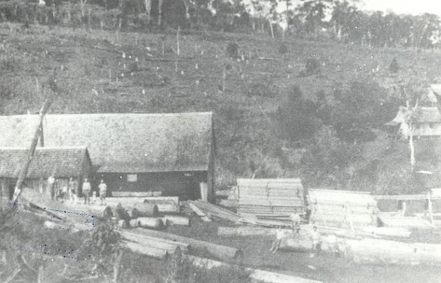 Associação Cultural Alemã de Pinhalzinho-SC: IMAGENS DO INICIO DA ...