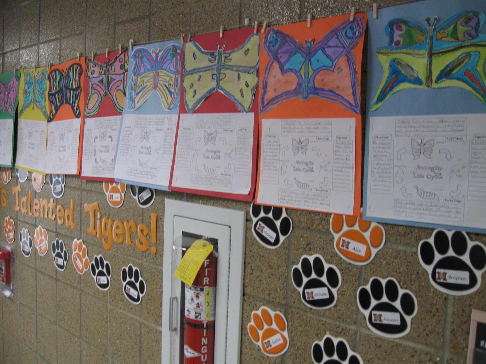 A Day in 3K: Butterfly Project