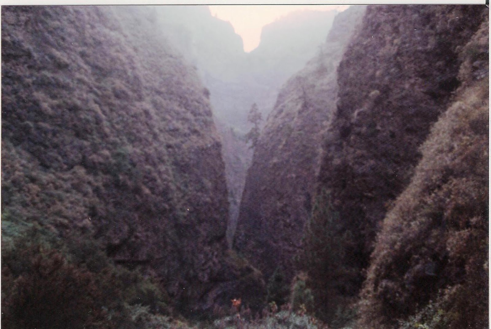 CUADERNO DE GEOGRAFIA CANARIA: Barrancos del Sur de Tenerife.