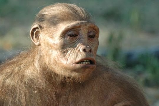 CIENCIAS 5.022: EVOLUCIÓN DEL HOMBRE