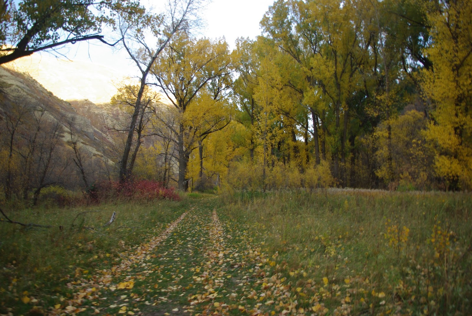 Jana's Place: Fall in Provo Canyon