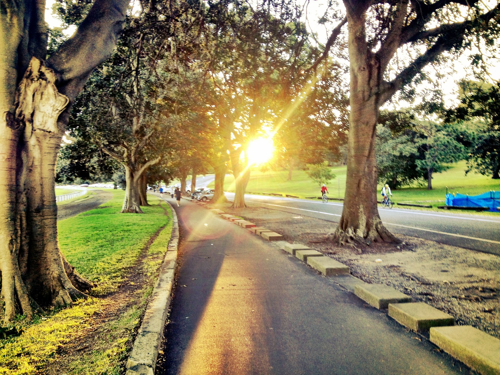 Maxi's Blog: A Walk In The Park