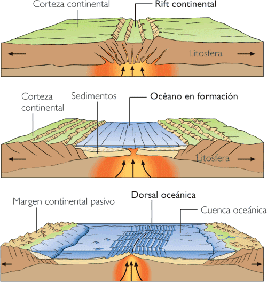 Cekungan Sedimen Benua