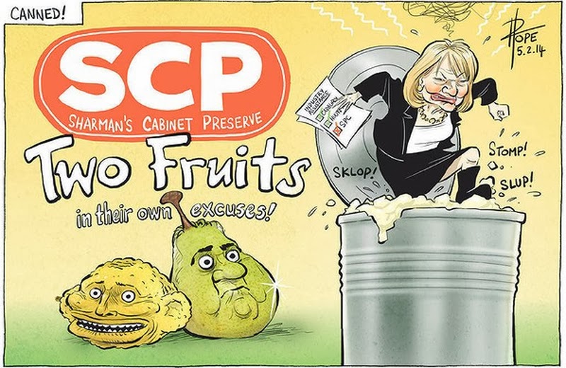 Political Cartoons Thread (International & National) | Page 8 ...