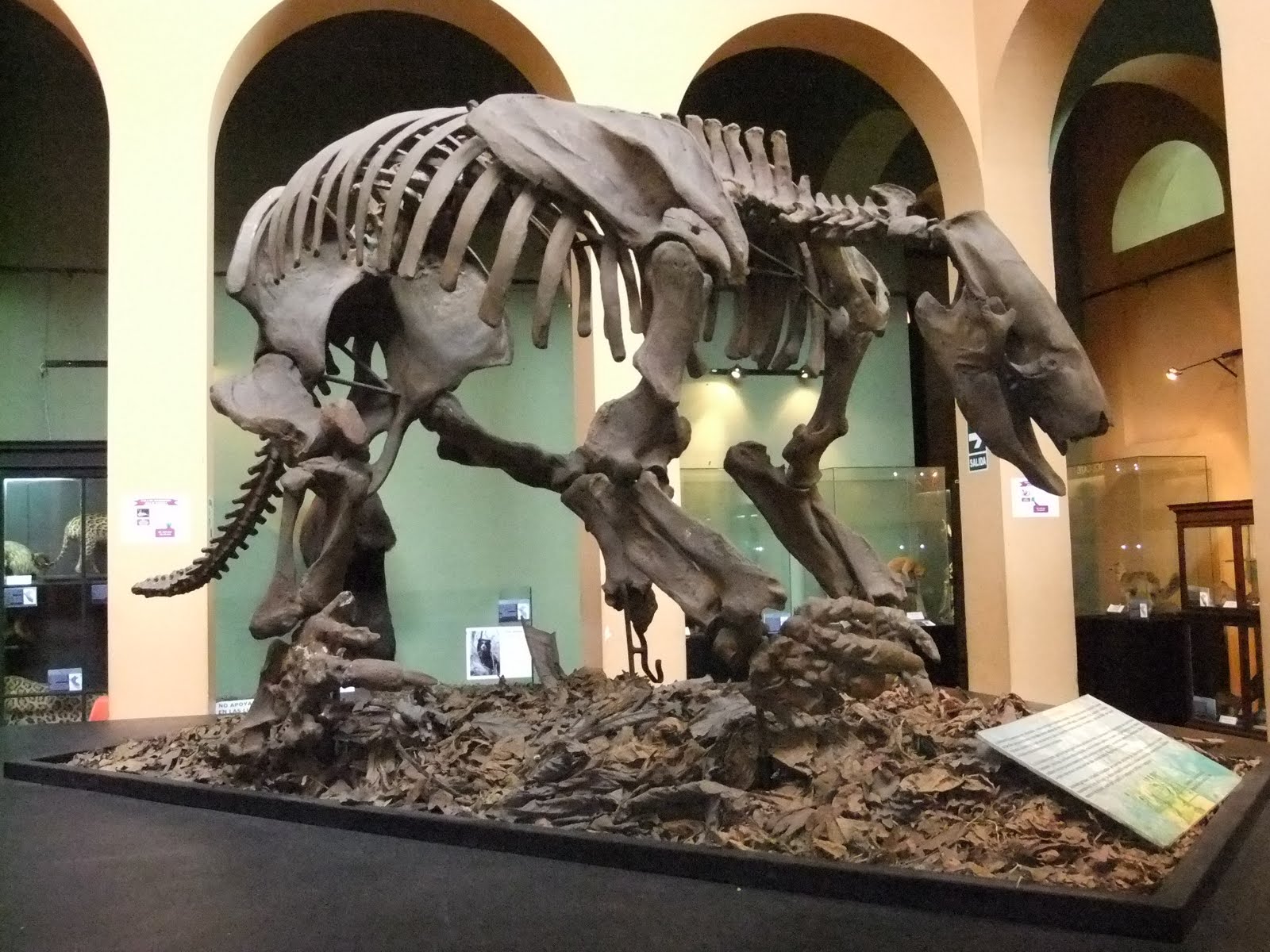 La fauna de la era de hielo: Megaterio