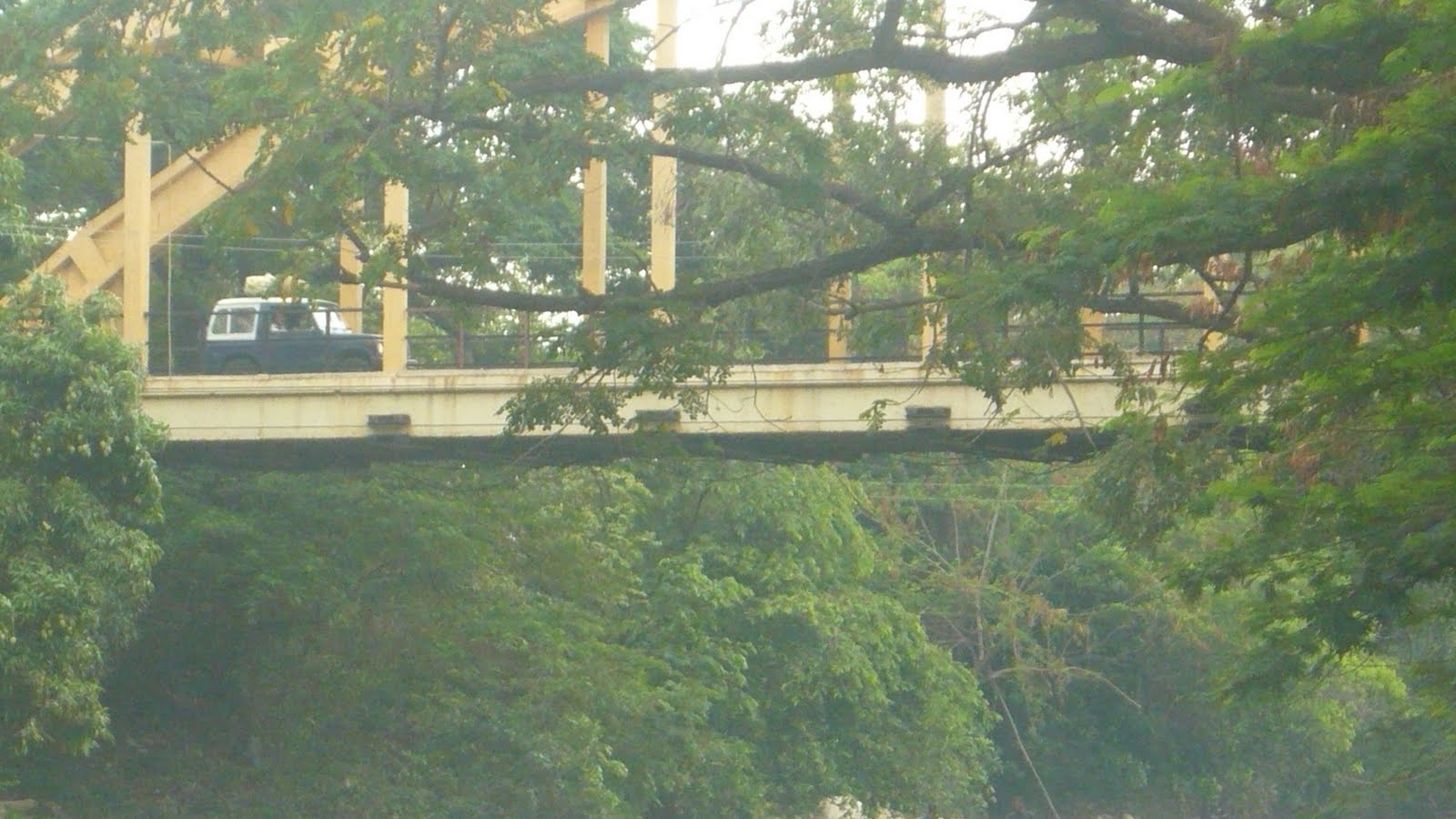 Un paseo por rio frio