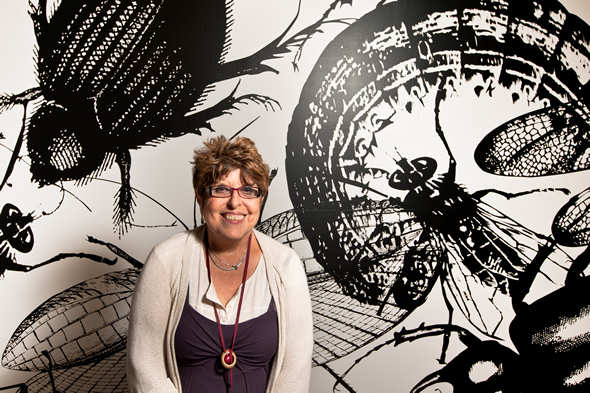 LUGOUV+ART: A ARTE DE REGINA SILVEIRA