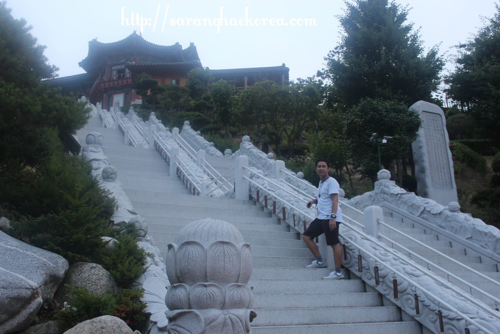 Samgwangsa (삼광사)- A Buddhist Temple in the Hillside of Busan