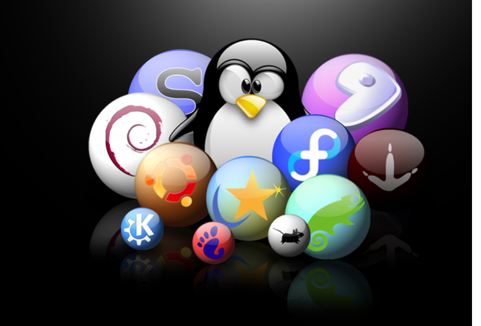 Technique des Reseaux et Systeme Informatique: Linux