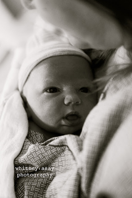 whitney asay photography