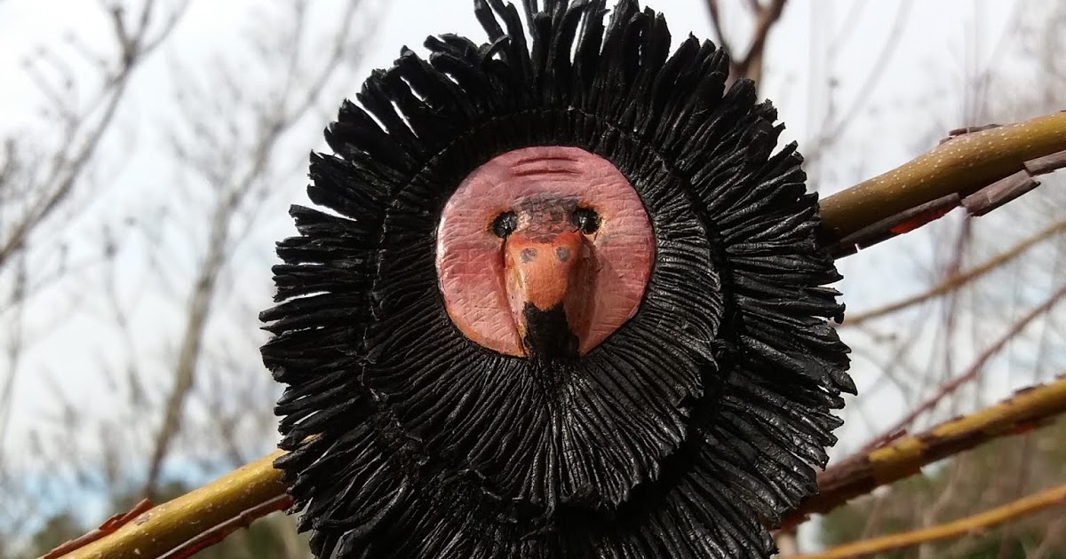 Revealing Mr. Carny Vore, Birds of Prey Theme Challenge