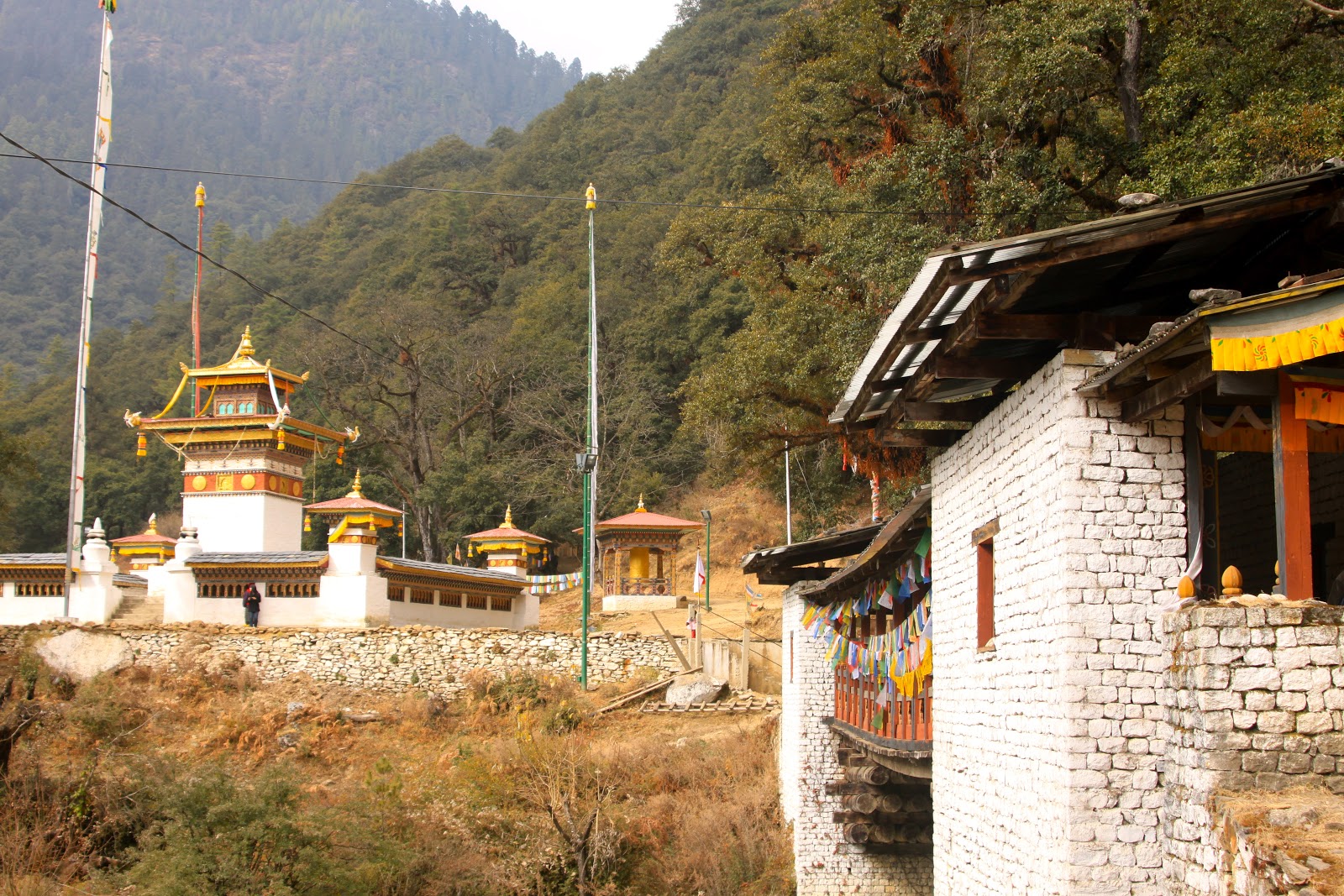 Here Be Dragons: Jigme Dorji National Park