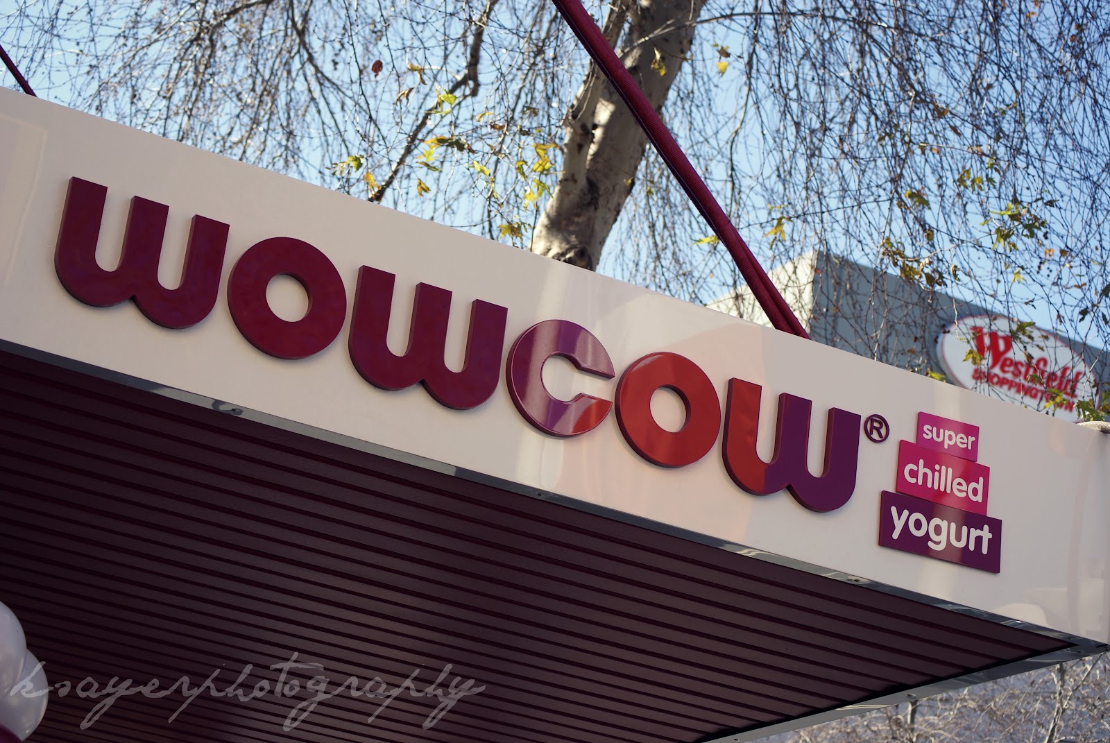 Southern In Law: Wowcow Frozen Yogurt Opens at Burwood