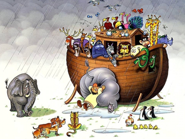 Blog de los niños: Los animales de la lluvia