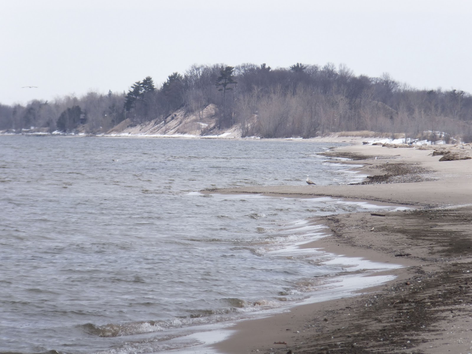 Merry@Syracuse: The Beauty of Sandy Island Beach