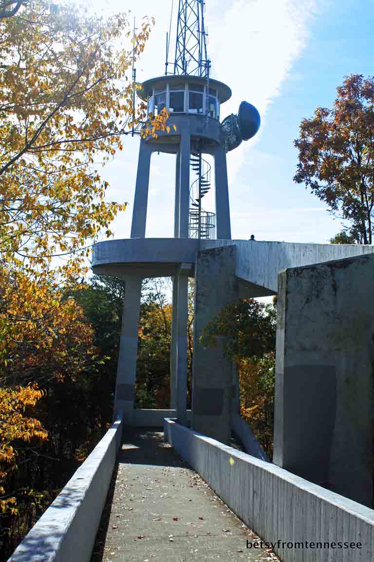 JOYFUL REFLECTIONS: Hike to Look Rock Observation Tower (Smokies-10/23/12)