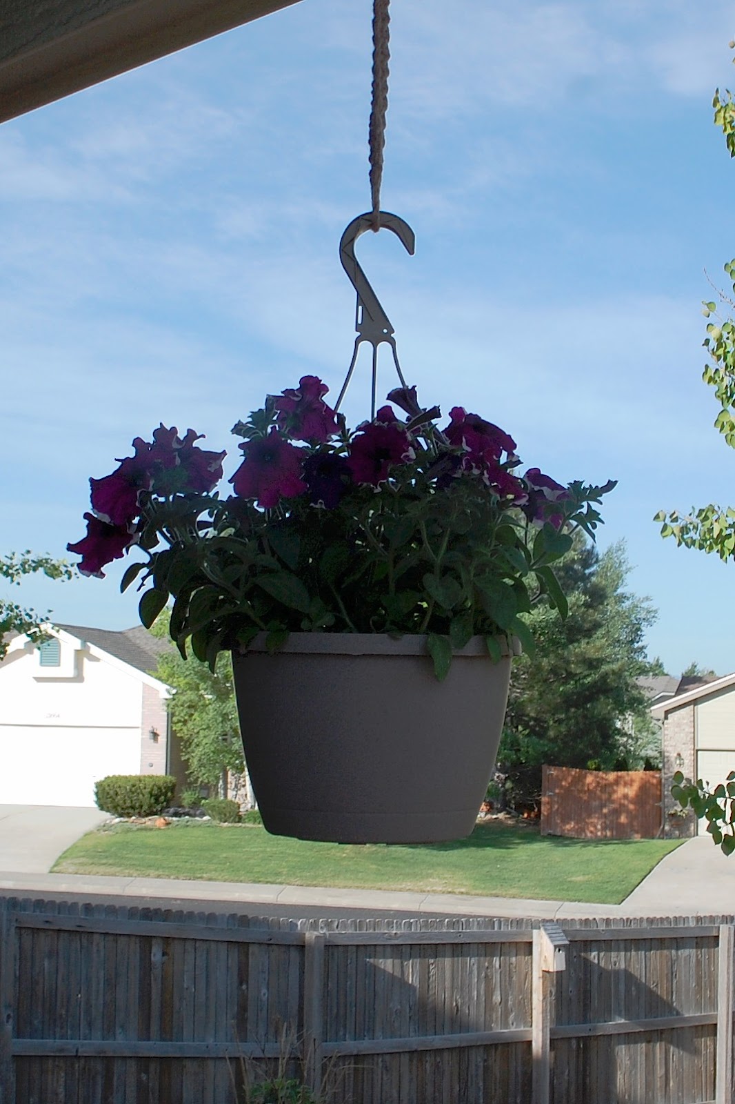 Posh Pooch Designs : Plant Hanger Extender Crochet Pattern