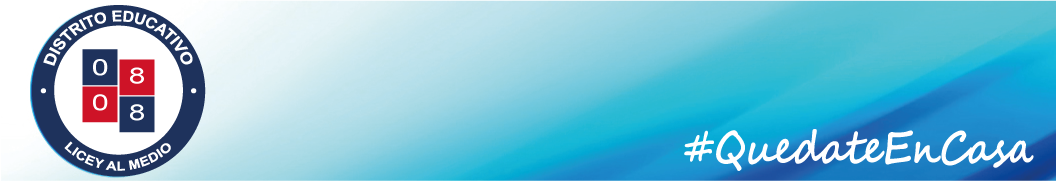 Distrito Educativo 08-08: ¿Quiénes somos?