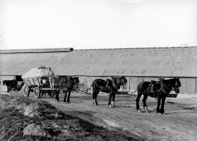 BGS Geoheritage – images from the collections: China-clay works, Devon ...