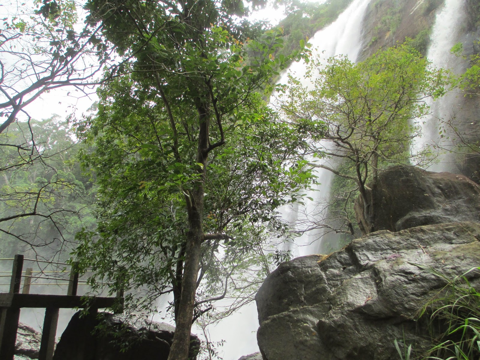 Peessa Ella / Peessa Waterfall ~ GreenMap Sri Lanka