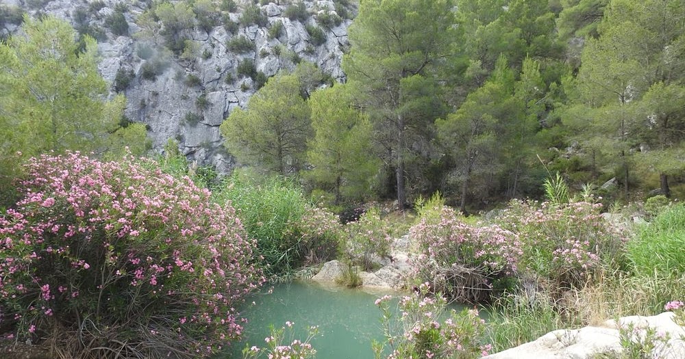 SaLiDaS a La NaTuRaLeZa: Fuente Caputa