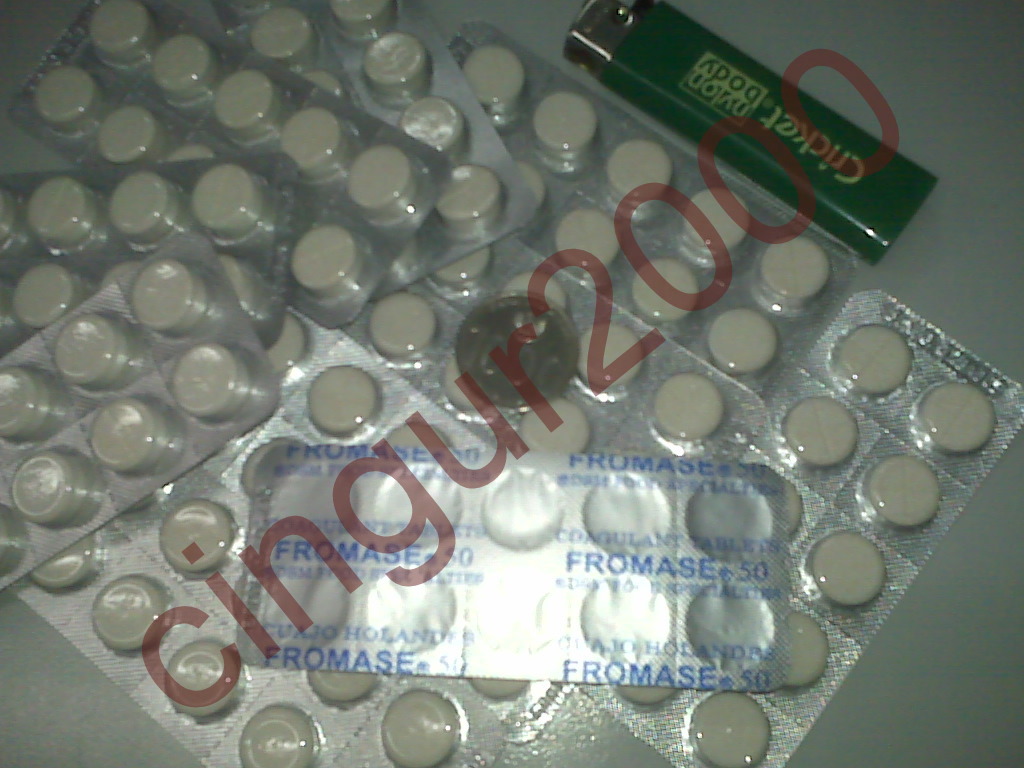 rennet-id ( Vegetable Rennet / Enzim Renin ): Jual Biang Keju