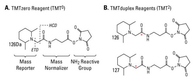 Mass Spec Master: In vivo TMT labelling