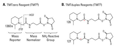 Mass Spec Master: In vivo TMT labelling