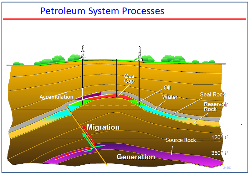 Petroleum System