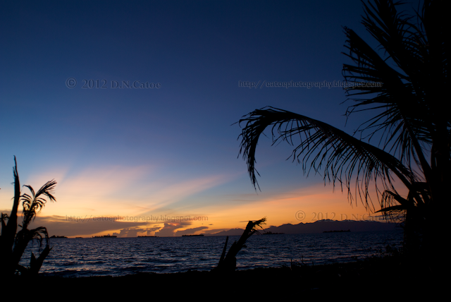 David Catoe Photography