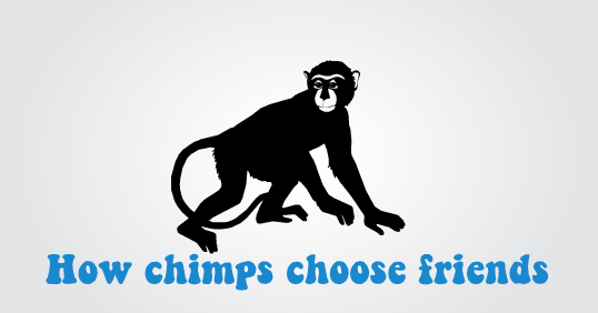 Interesting Psychology of Chimps - PsychTronics