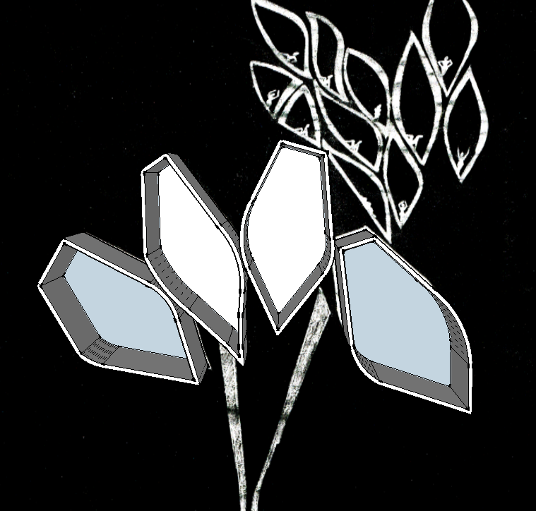 Asymmetriphobia: June 2013