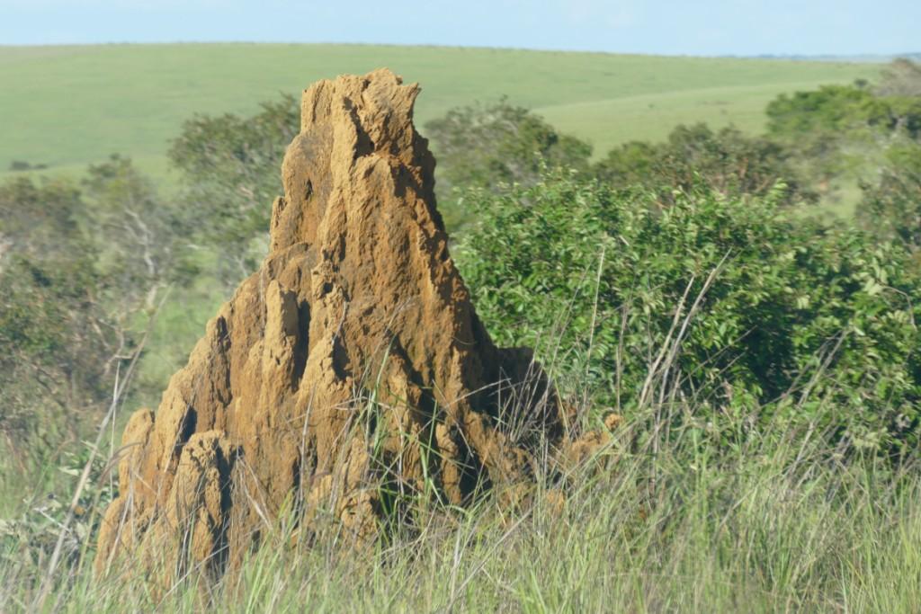 séjour au Gabon: De La Lékédi à Léconi