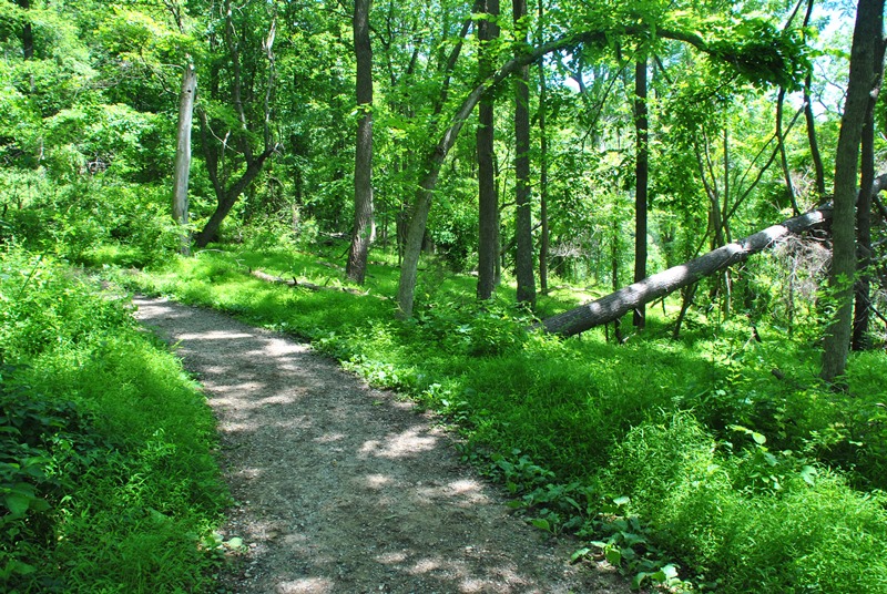 Southeastern PA Hiking: Valley Forge - Mount Misery