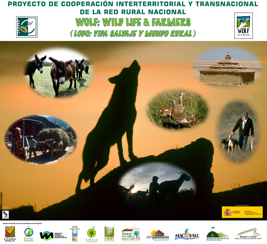 AMIGO LOBO: Blog lobero de Carlos Sanz: La Exposición Proyecto Wolf en Santiago de Compostela ...