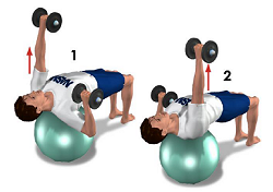 Daniel T. Fitness : OPT Program: Level 1. Phase 1. Stabilization