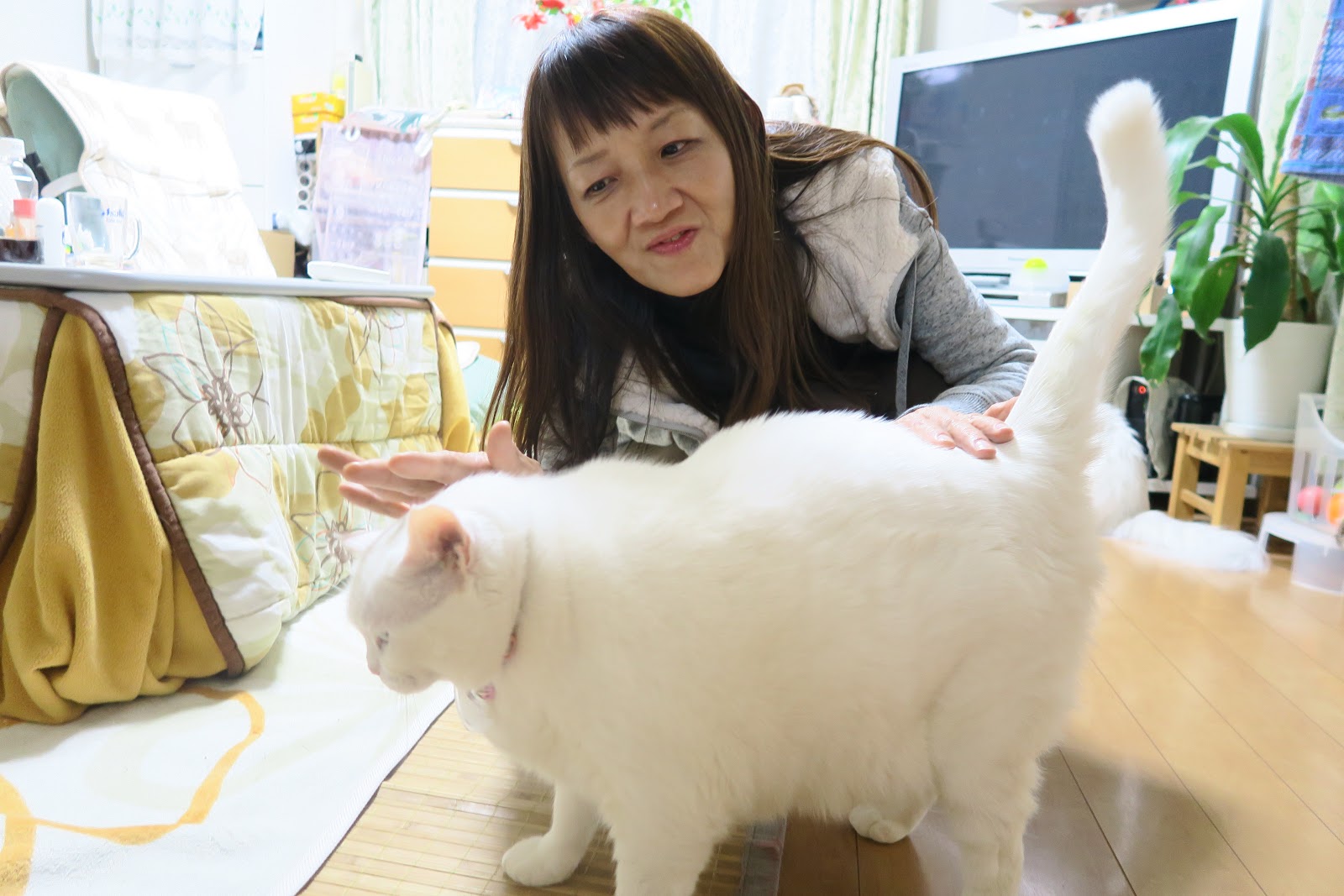 Miss HappyFeet: Ditch the Hotels, Try Homestay in Japan!