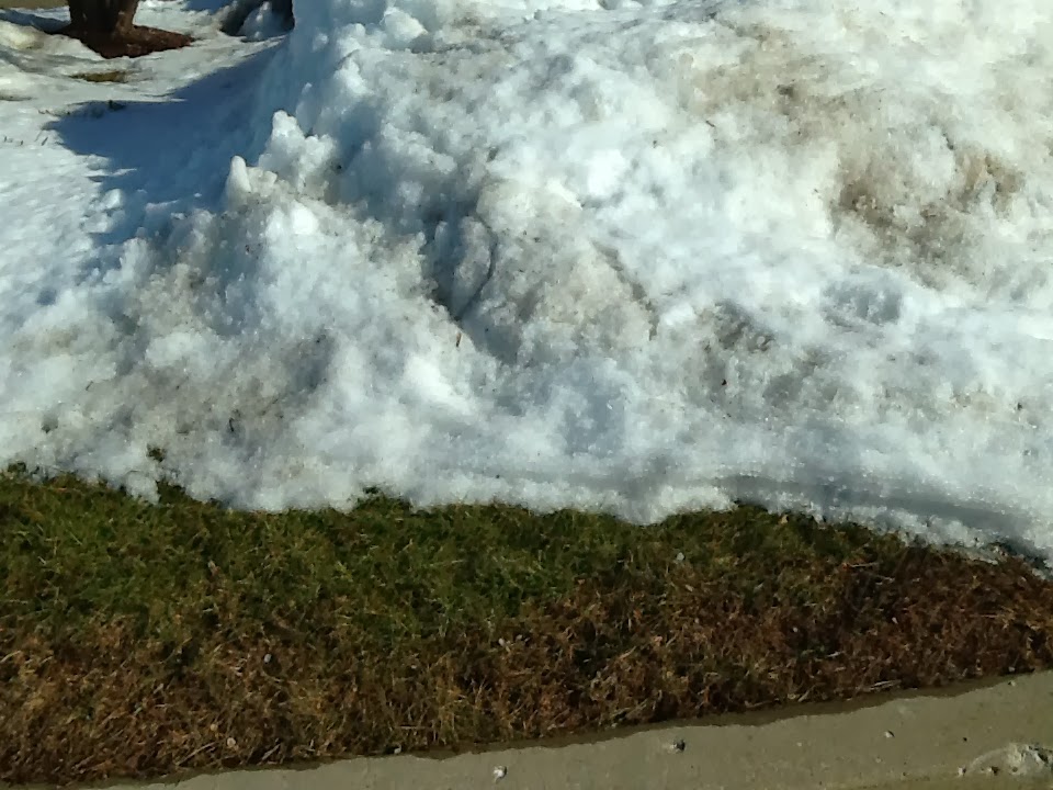 Lawn*Doctor Lawn Care Insights: Winter salt and plowing damage to lawns