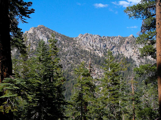 Life is a mountain.: Freel Peak, CA