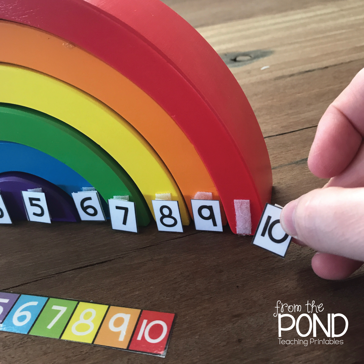 Rainbow Puzzle Game | From the Pond